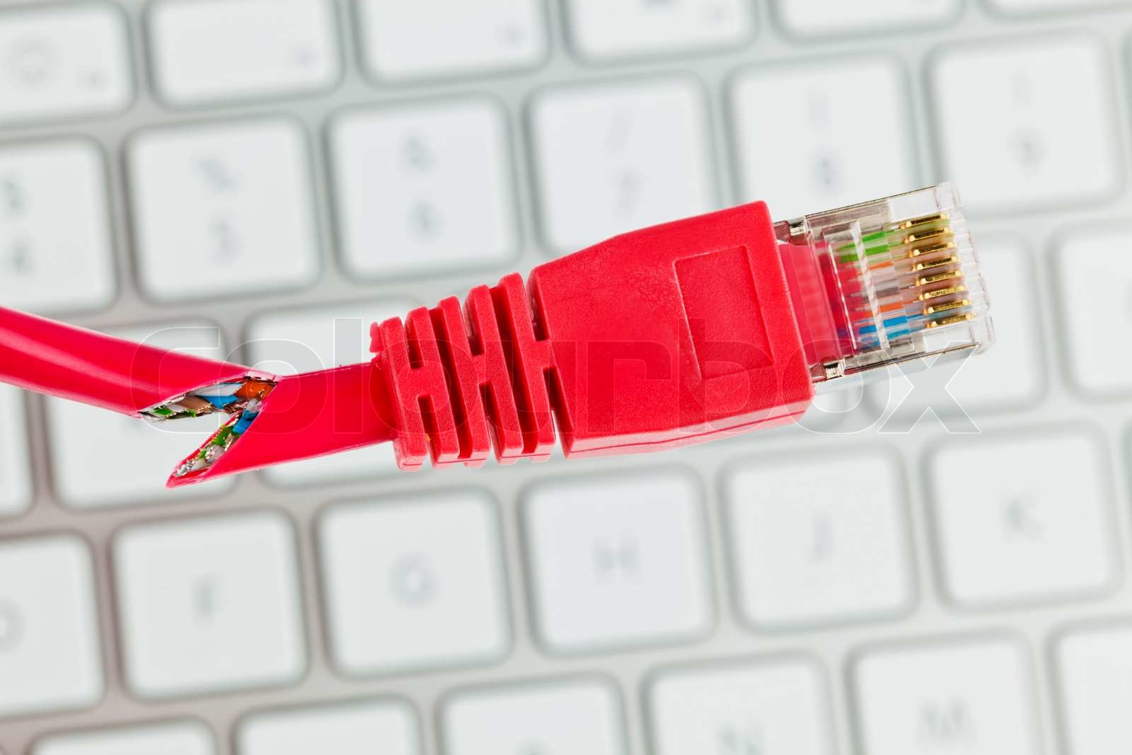 The red, broken cable of a network from a computer. | Stock image ...