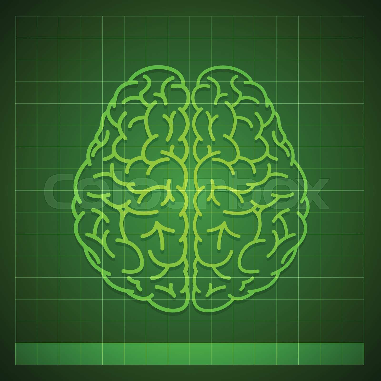 Human Brain Concept on Green Background | Stock vector | Colourbox