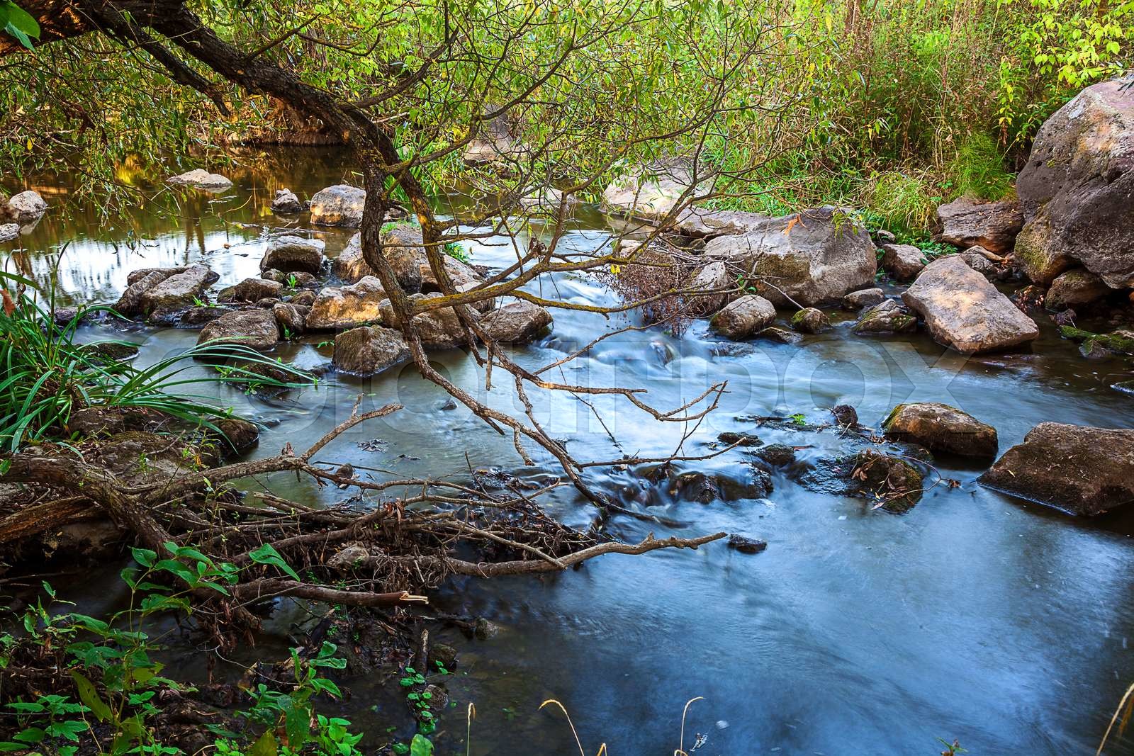 Stone rapids on the river. | Stock image | Colourbox