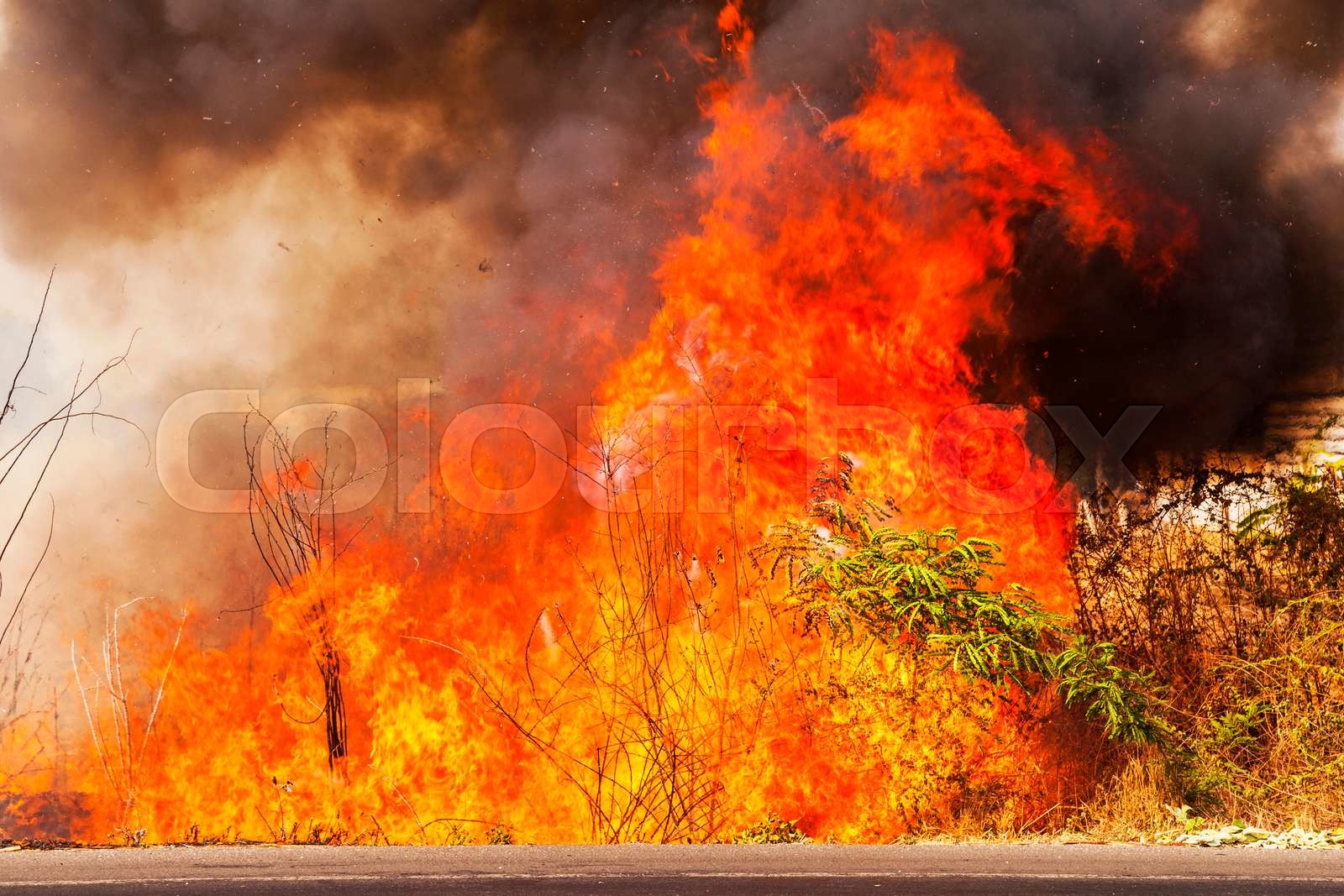 wildfire | Stock image | Colourbox