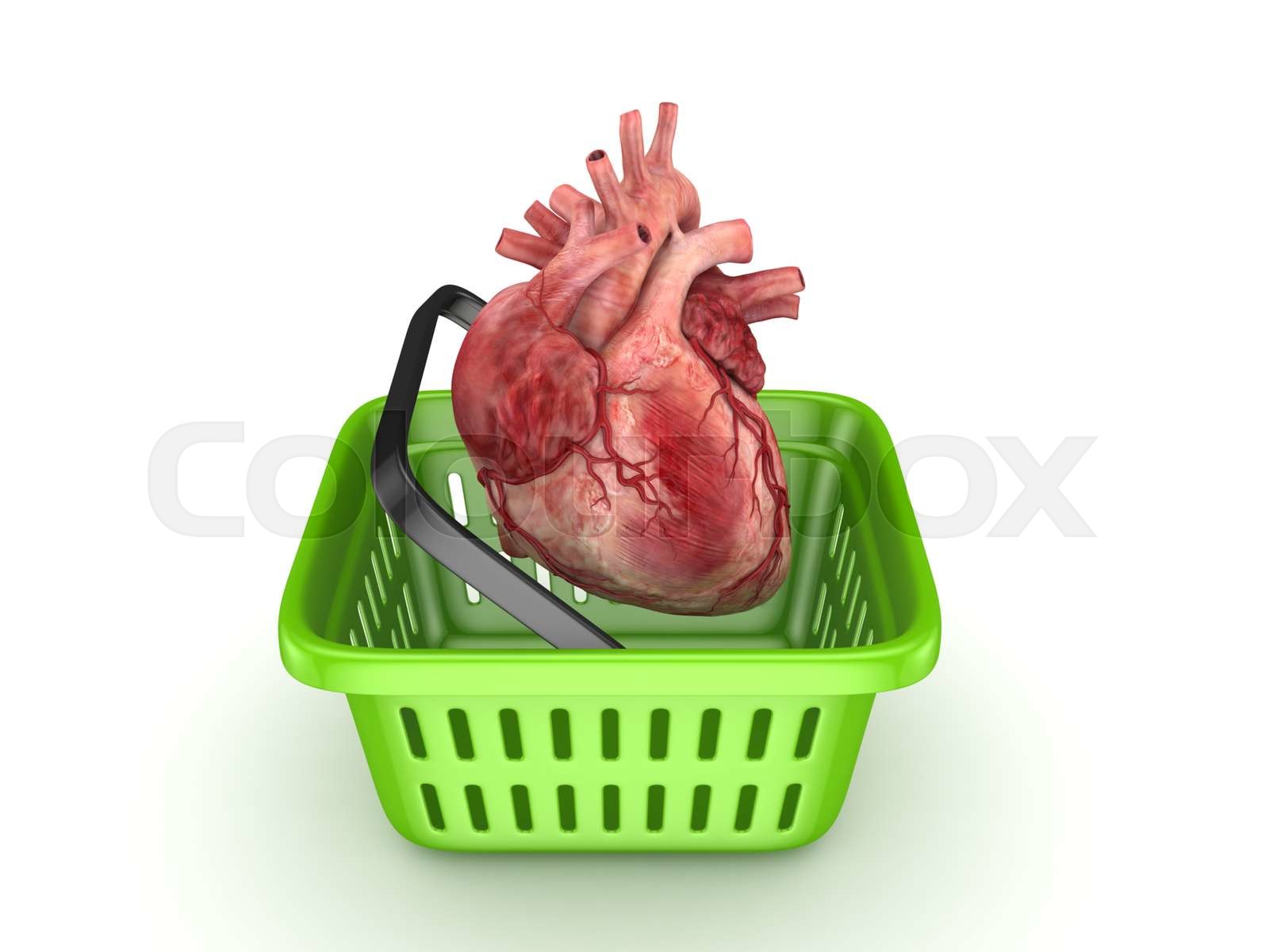 menneske, hjerte, træning | Stock foto | Colourbox