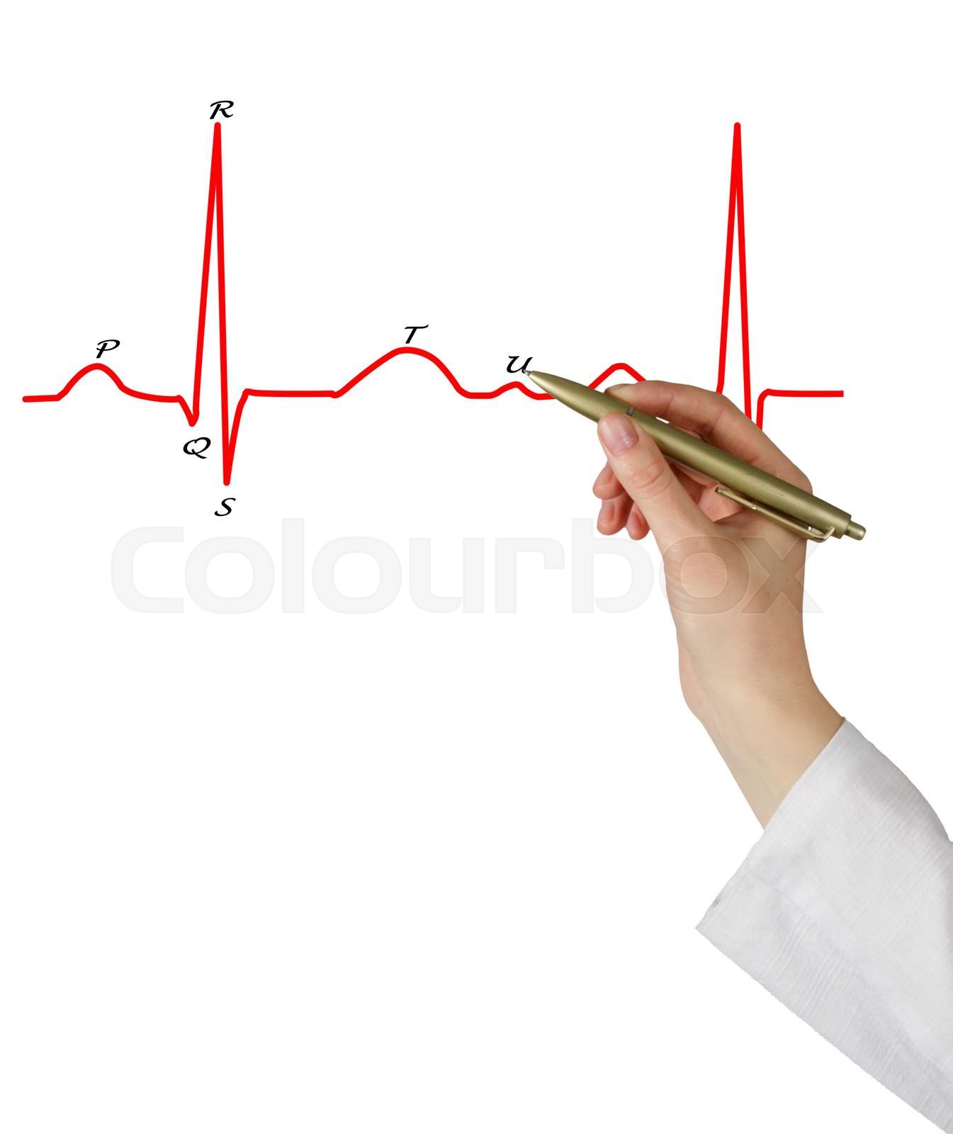 drawing ECG | Stock image | Colourbox