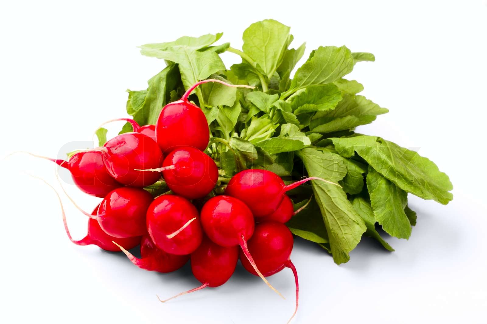 haven radise bundt isoleret på en hvid baggrund | Stock foto | Colourbox