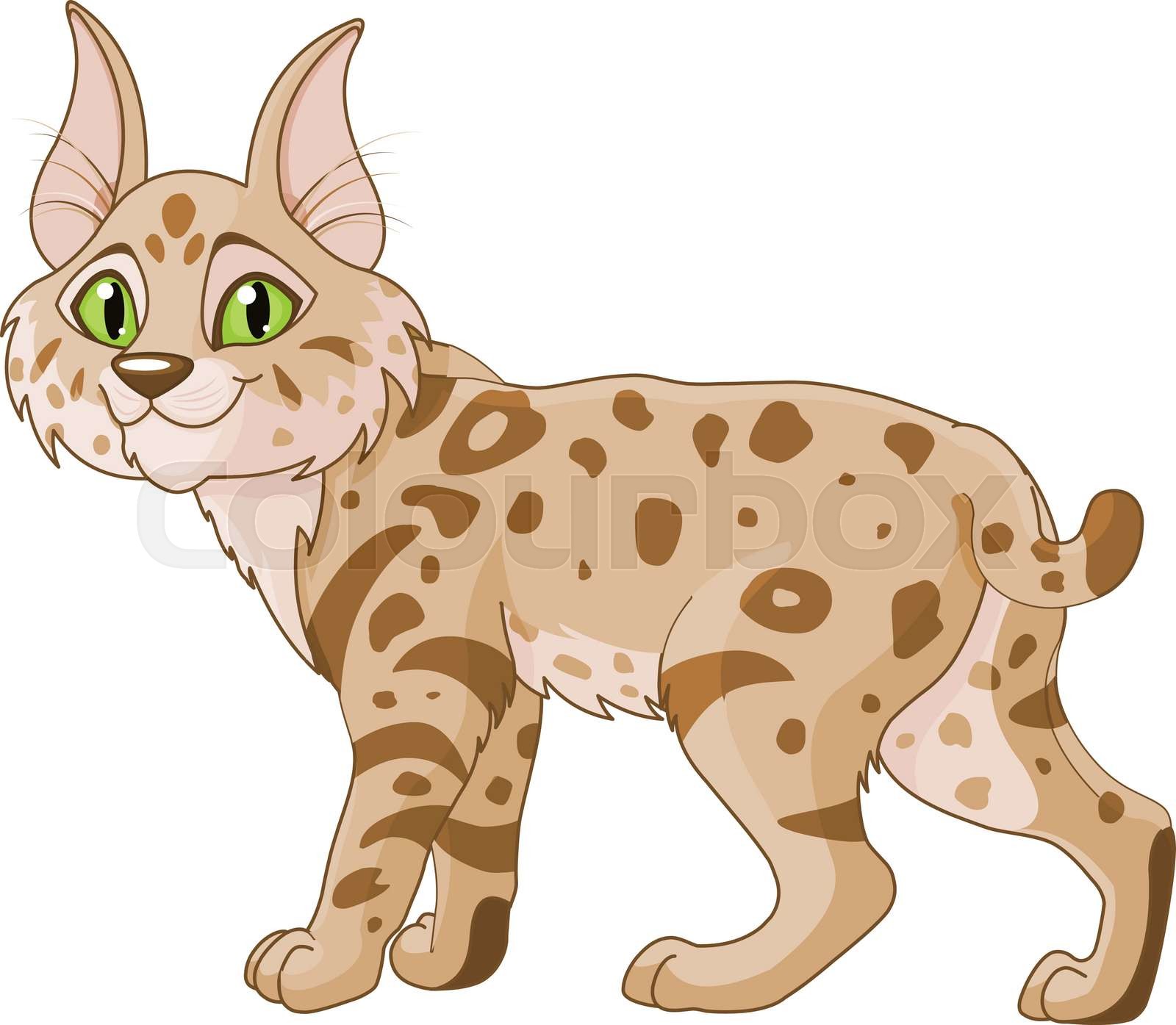 | Stock-Vektor | Colourbox