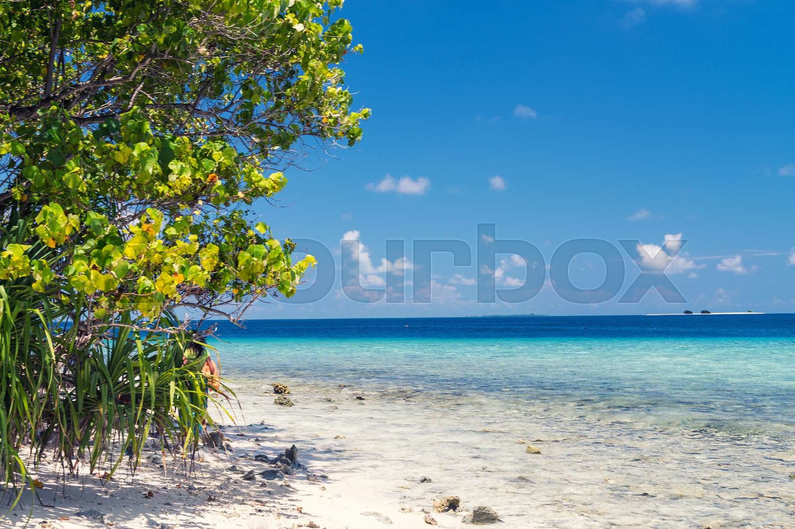 Beautiful colors of Maldives | Stock image | Colourbox