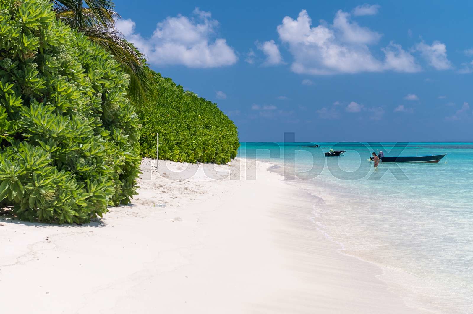 Beautiful colors of Maldives | Stock image | Colourbox
