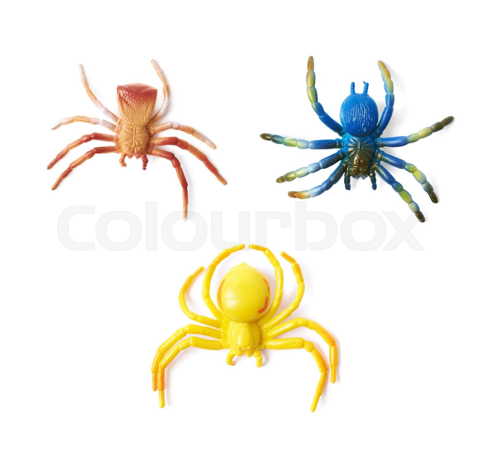Fake rubber spider toy isolated | Stock image | Colourbox
