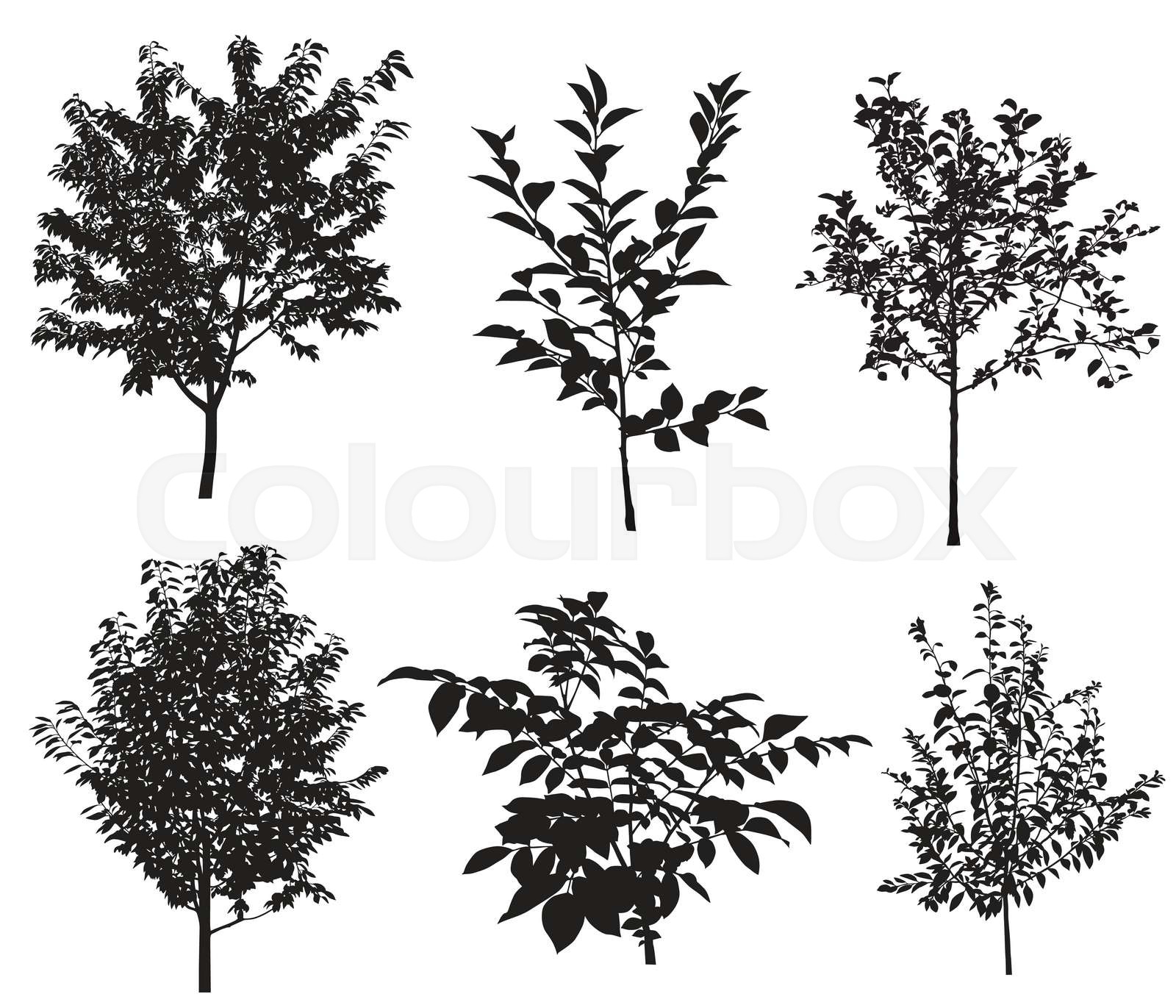baum, umriss, kirsche | Stock-Vektor | Colourbox