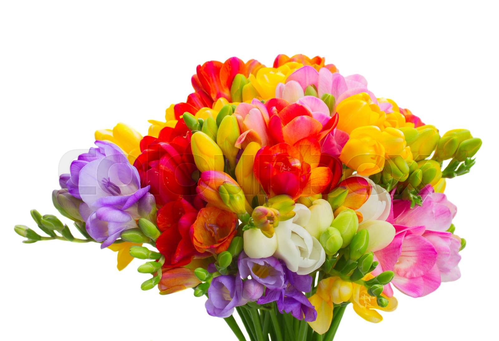 Freesia Flowers Bouquet