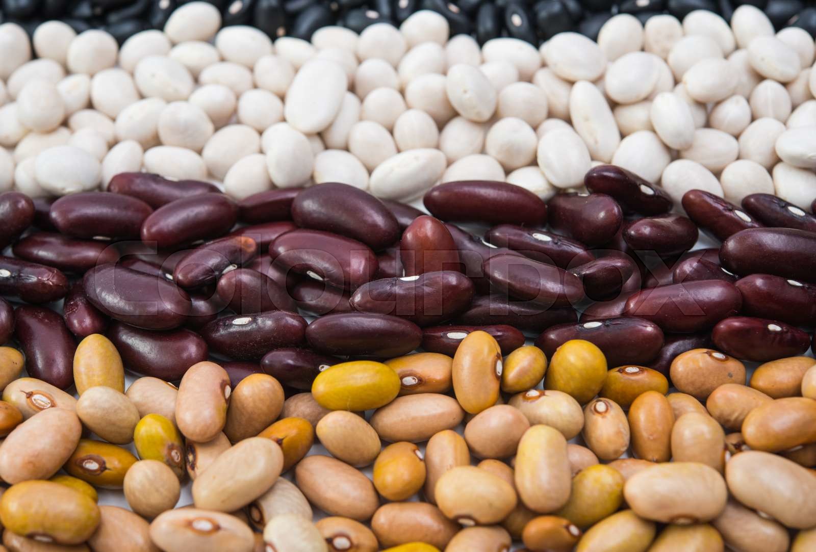 kidney beans of different colors | Stock image | Colourbox
