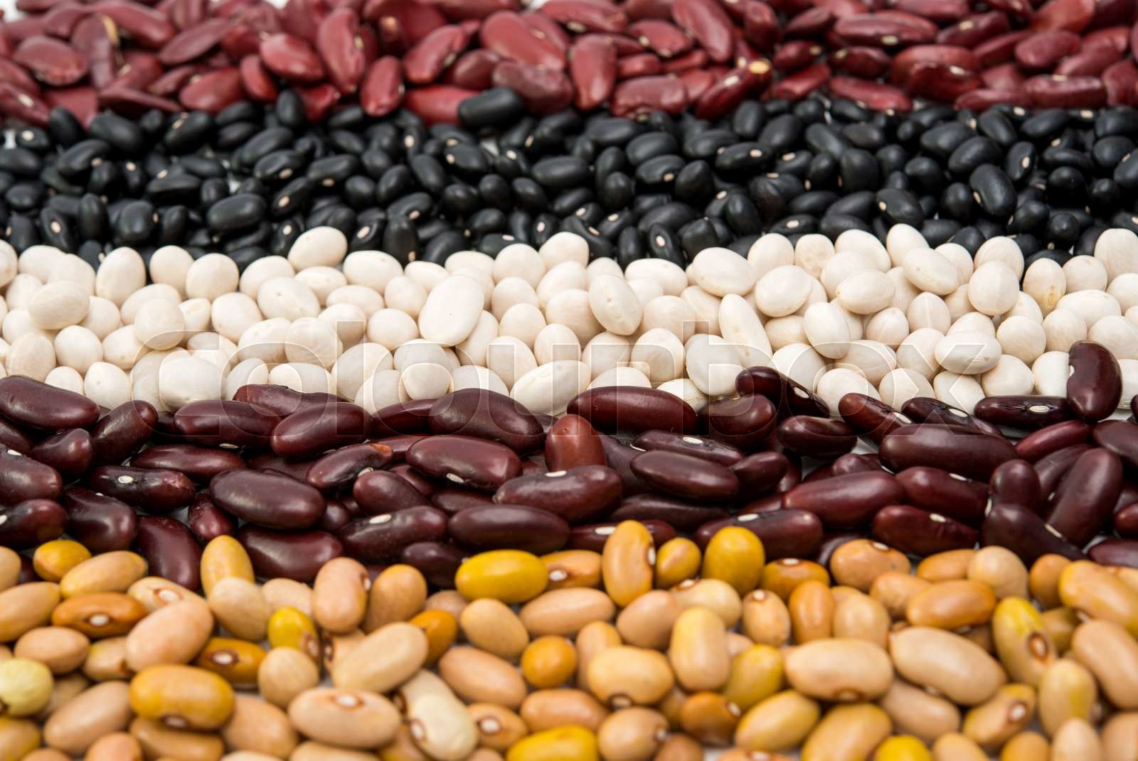 kidney beans of different colors | Stock image | Colourbox