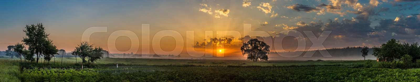 Beautiful sunrise and tree | Stock image | Colourbox