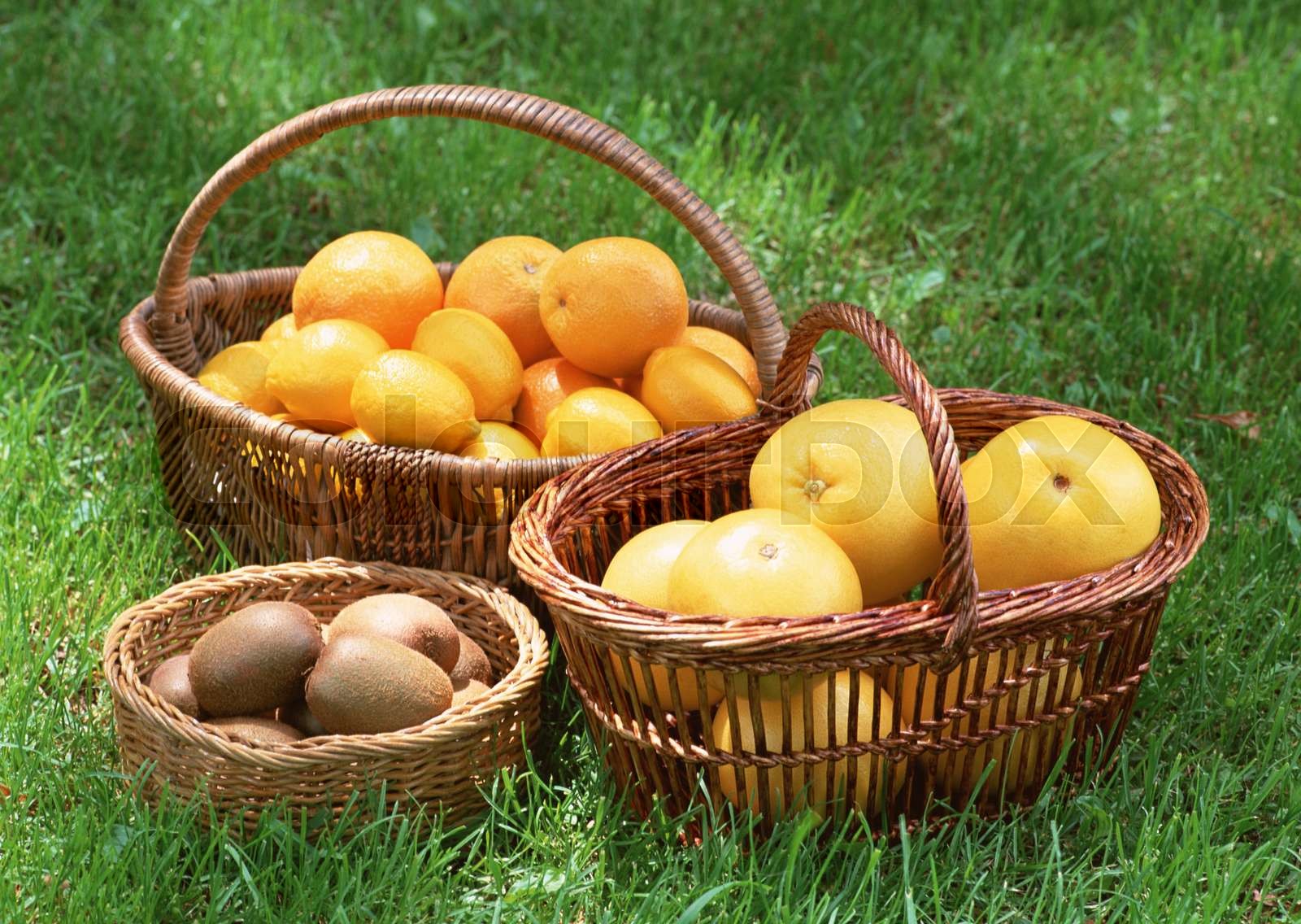 Natural Fruit Harvest | Stock image | Colourbox