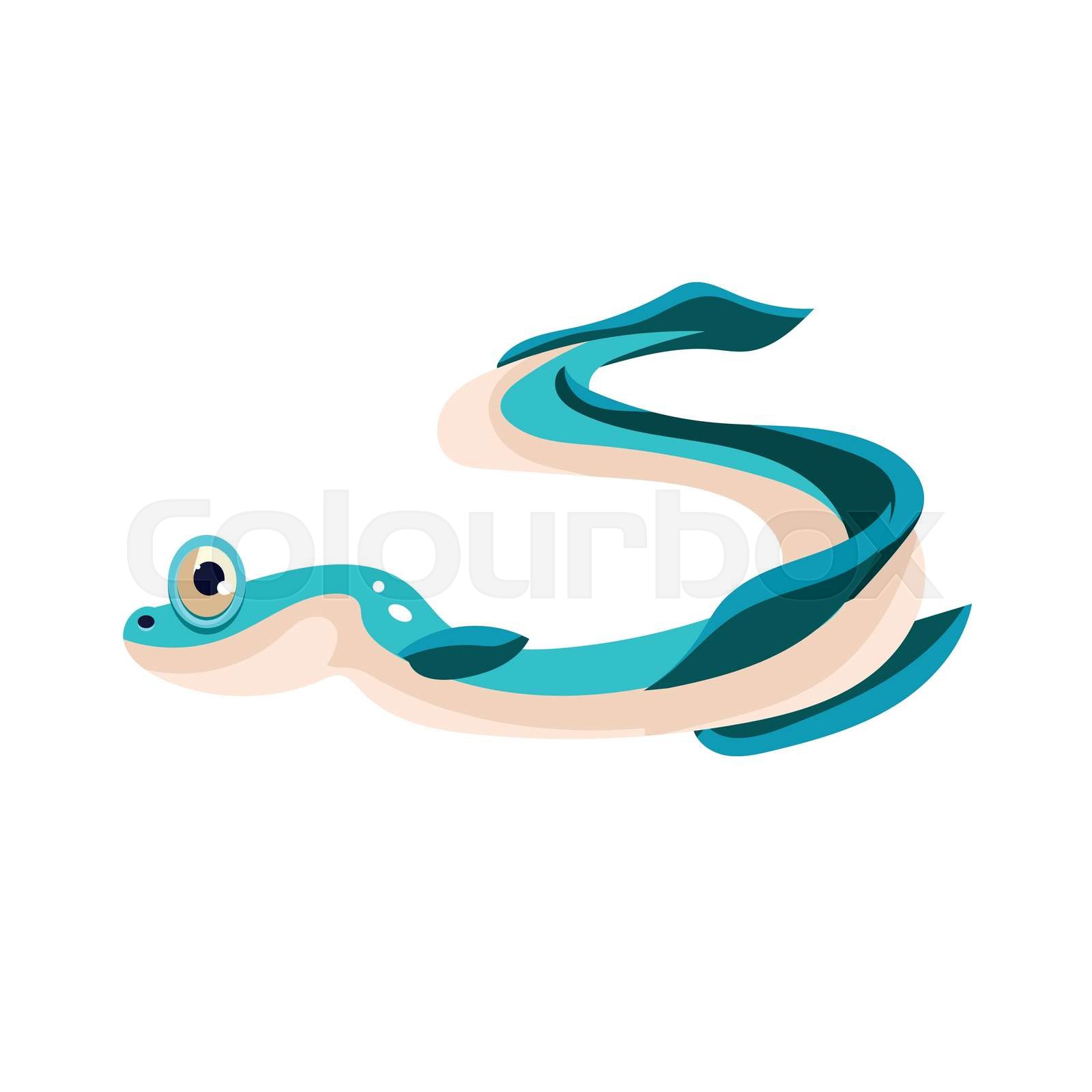 Eel. Vector Illustration | Stock vector | Colourbox