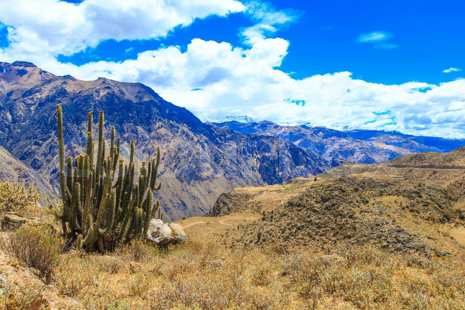 landscape Peru | Stock image | Colourbox
