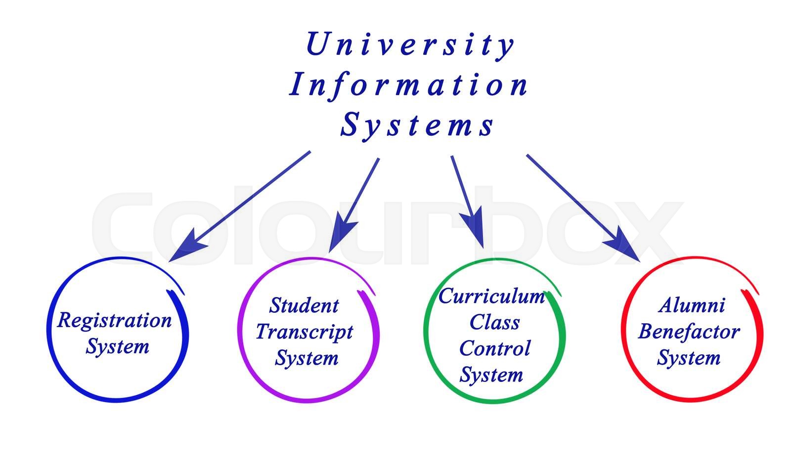 Diagram of University Information system | Stock image | Colourbox