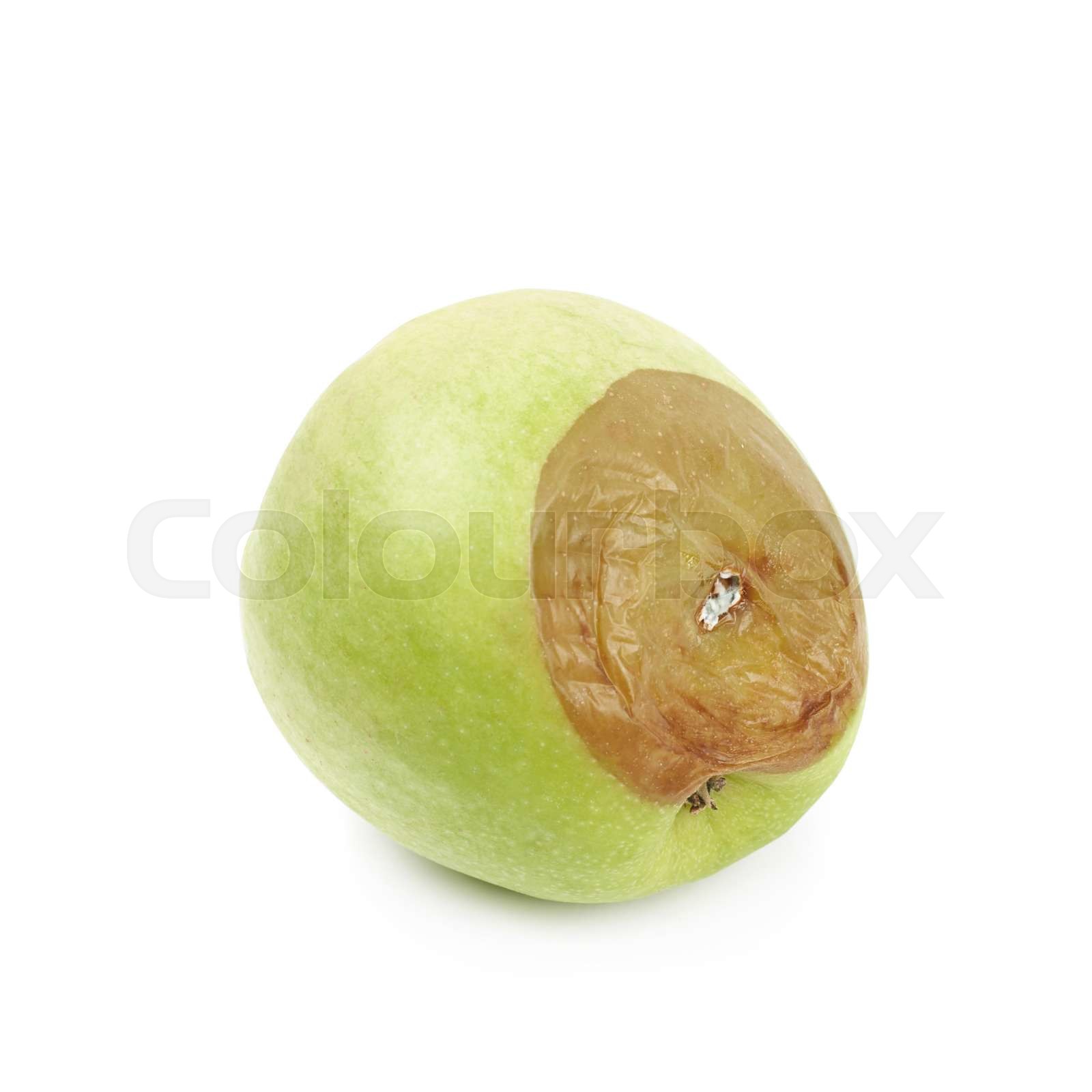 Rotten green apple isolated | Stock image | Colourbox