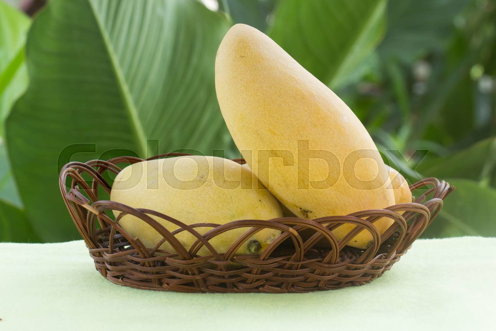 mango in basket | Stock image | Colourbox