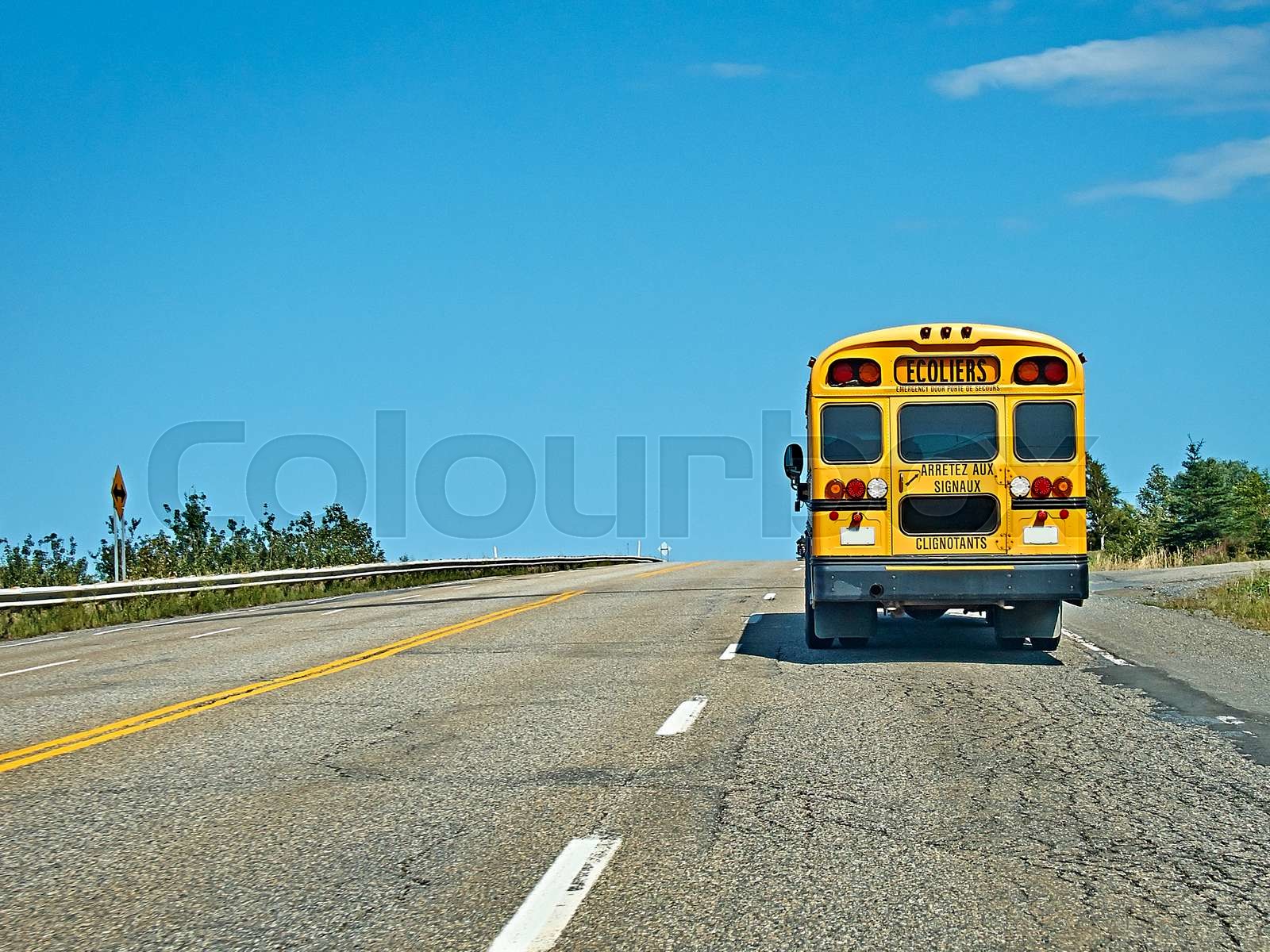 School bus on the road from behind | Stock image | Colourbox