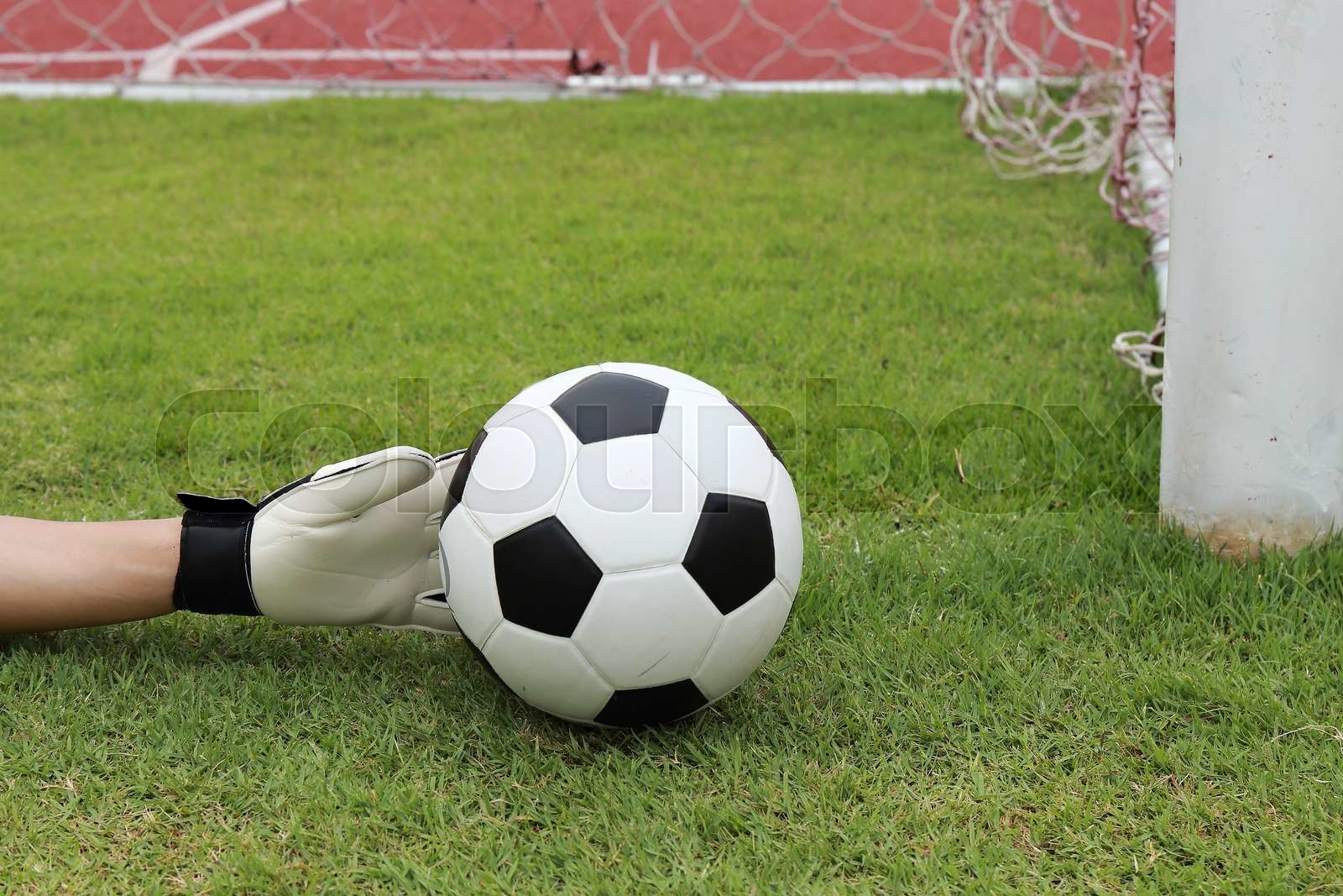 goalkeeper's hands reaching ball | Stock image | Colourbox