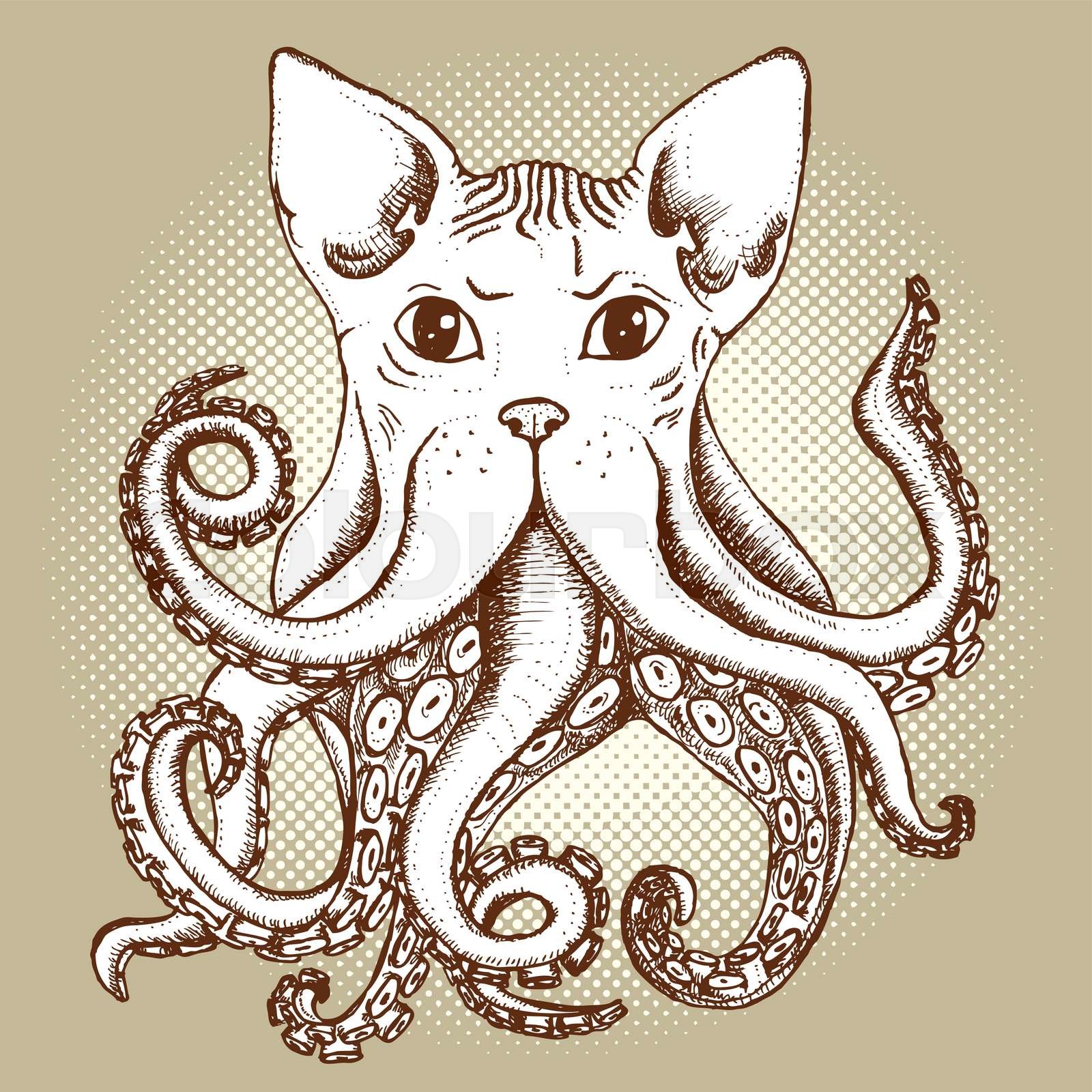 Mixed cat and octopus | Stock vector | Colourbox