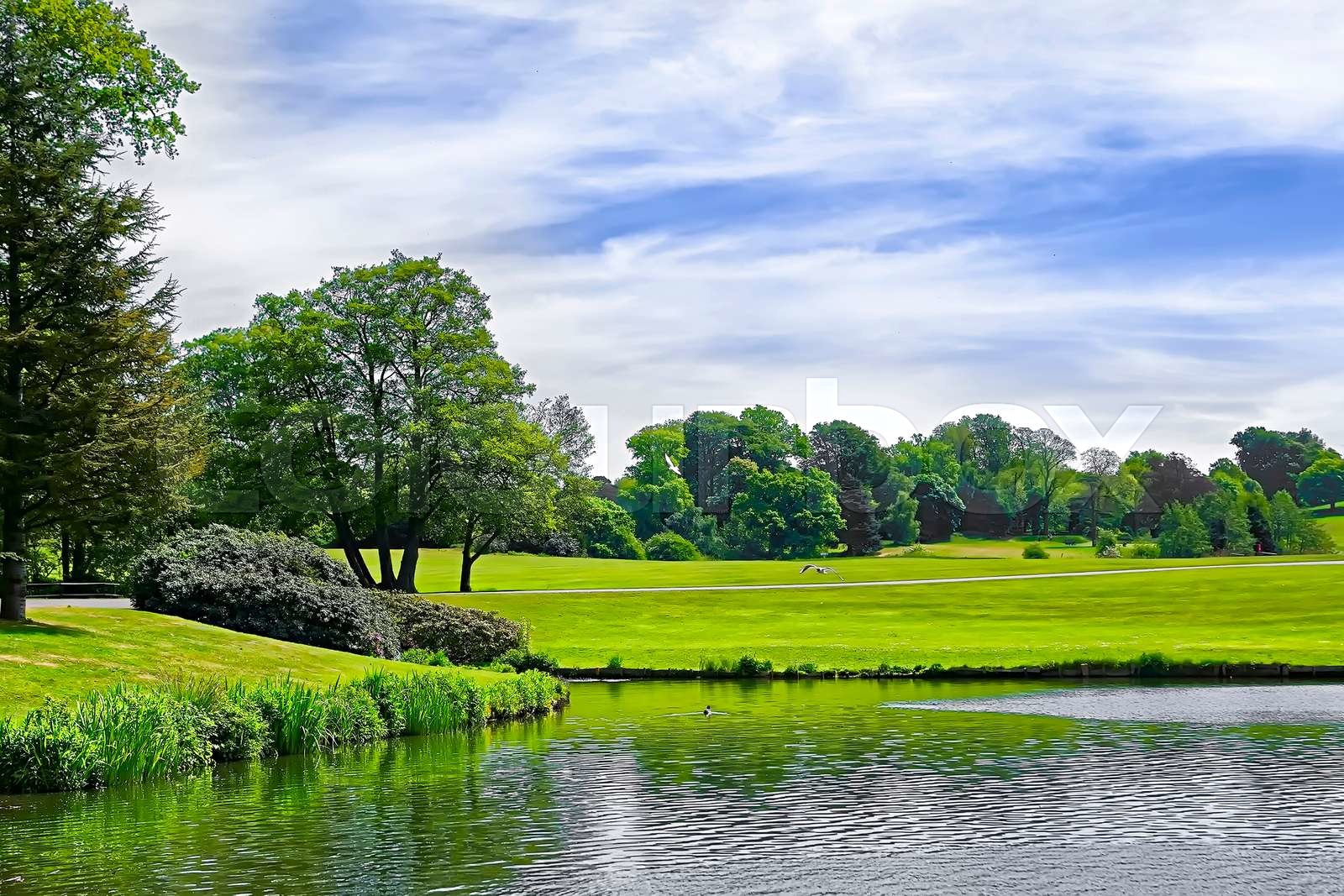 Pond and park near Leeds Castle in Kent | Stock image | Colourbox