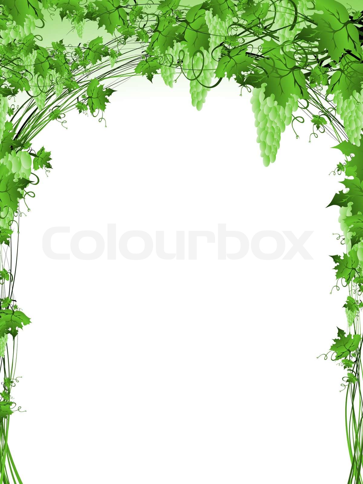 Illustration of green grape vine frame with copyspace for your text ...