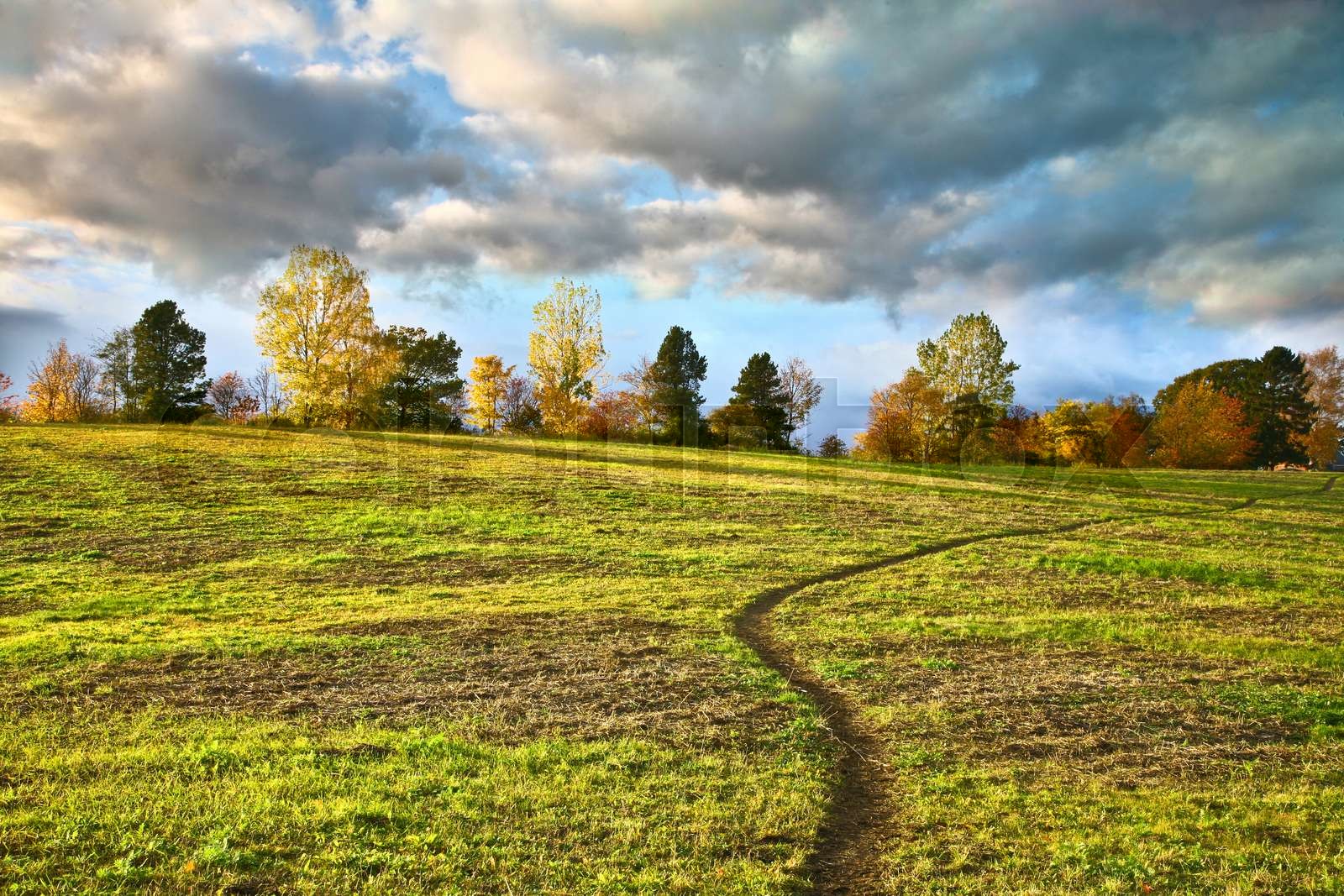 pfad, dänemark, herbst | Stock Bild | Colourbox