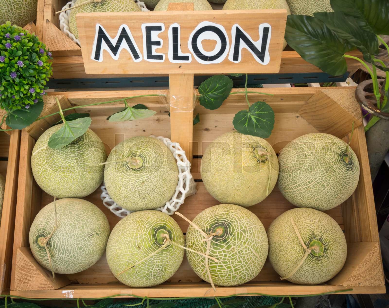 Japanese organic green melons in the fruit crate with melon label ...