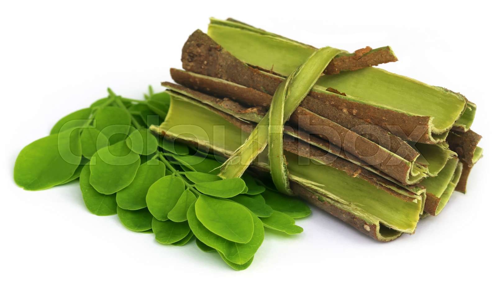 Moringa leaves and bark | Stock image | Colourbox