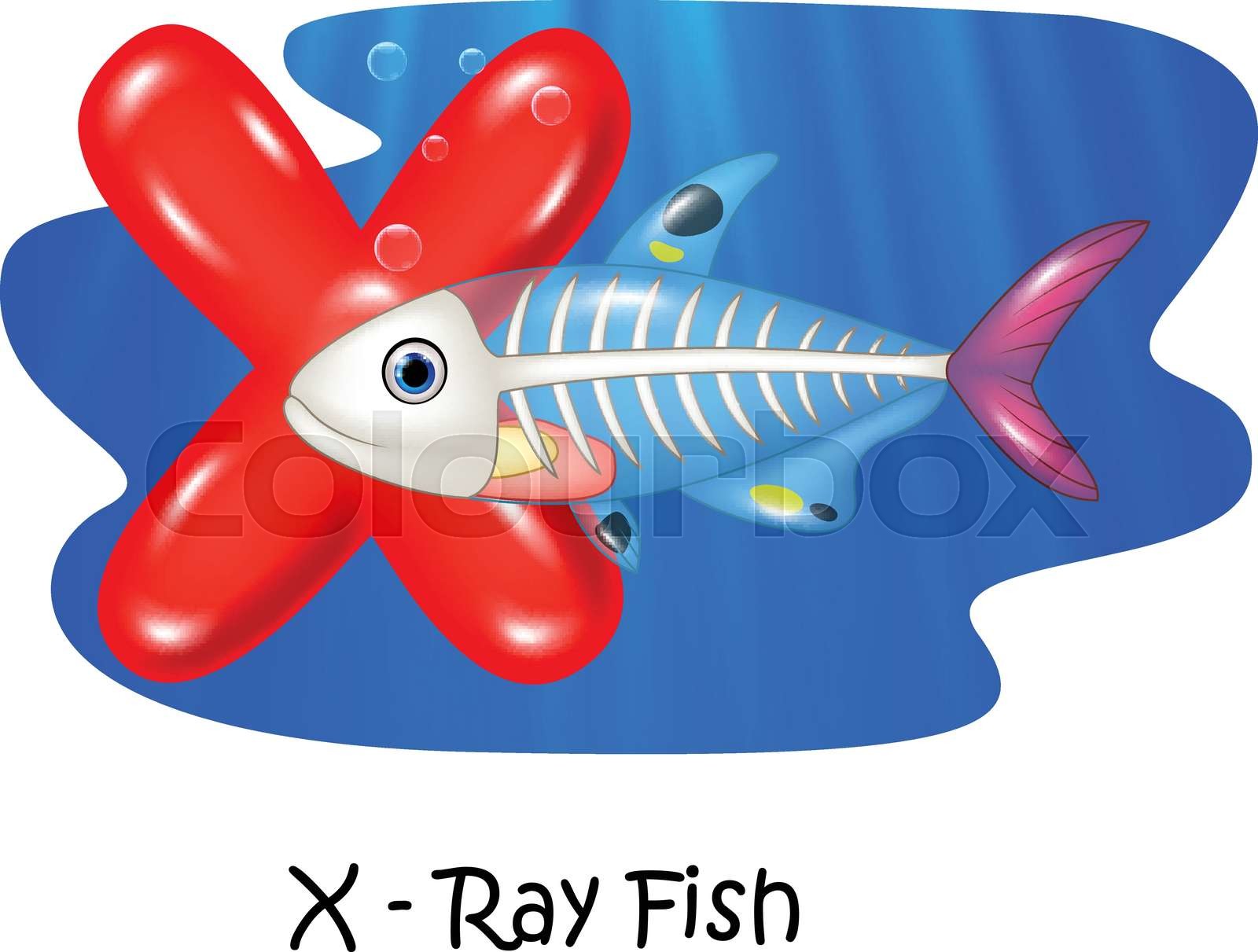 Illustration X of letter X-ray fish | Stock vector | Colourbox