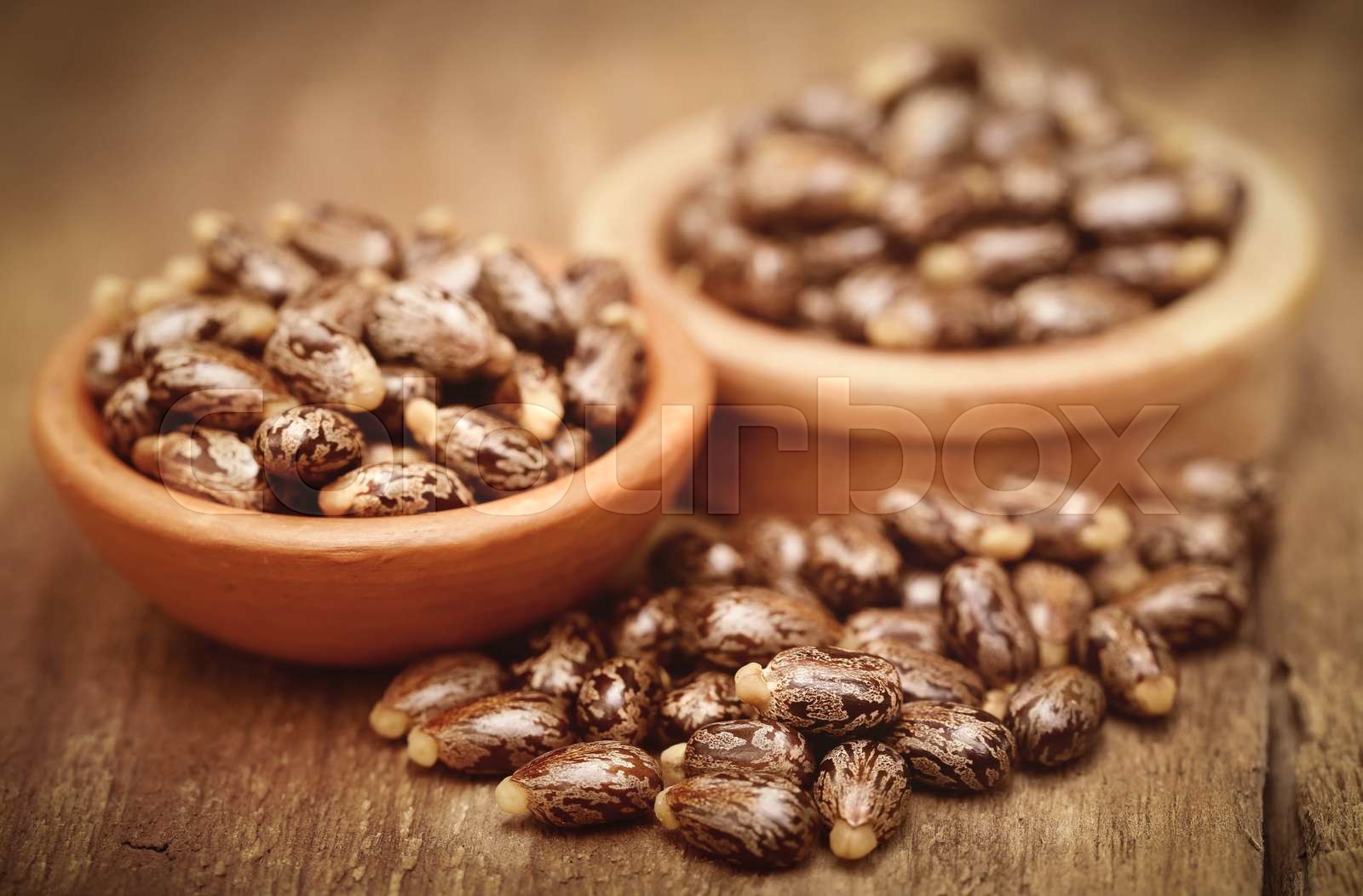Castor beans | Stock image | Colourbox