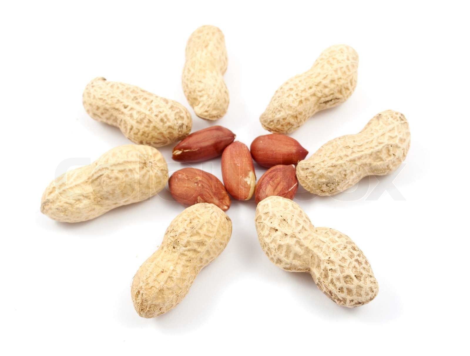 Peanuts on a white background | Stock image | Colourbox