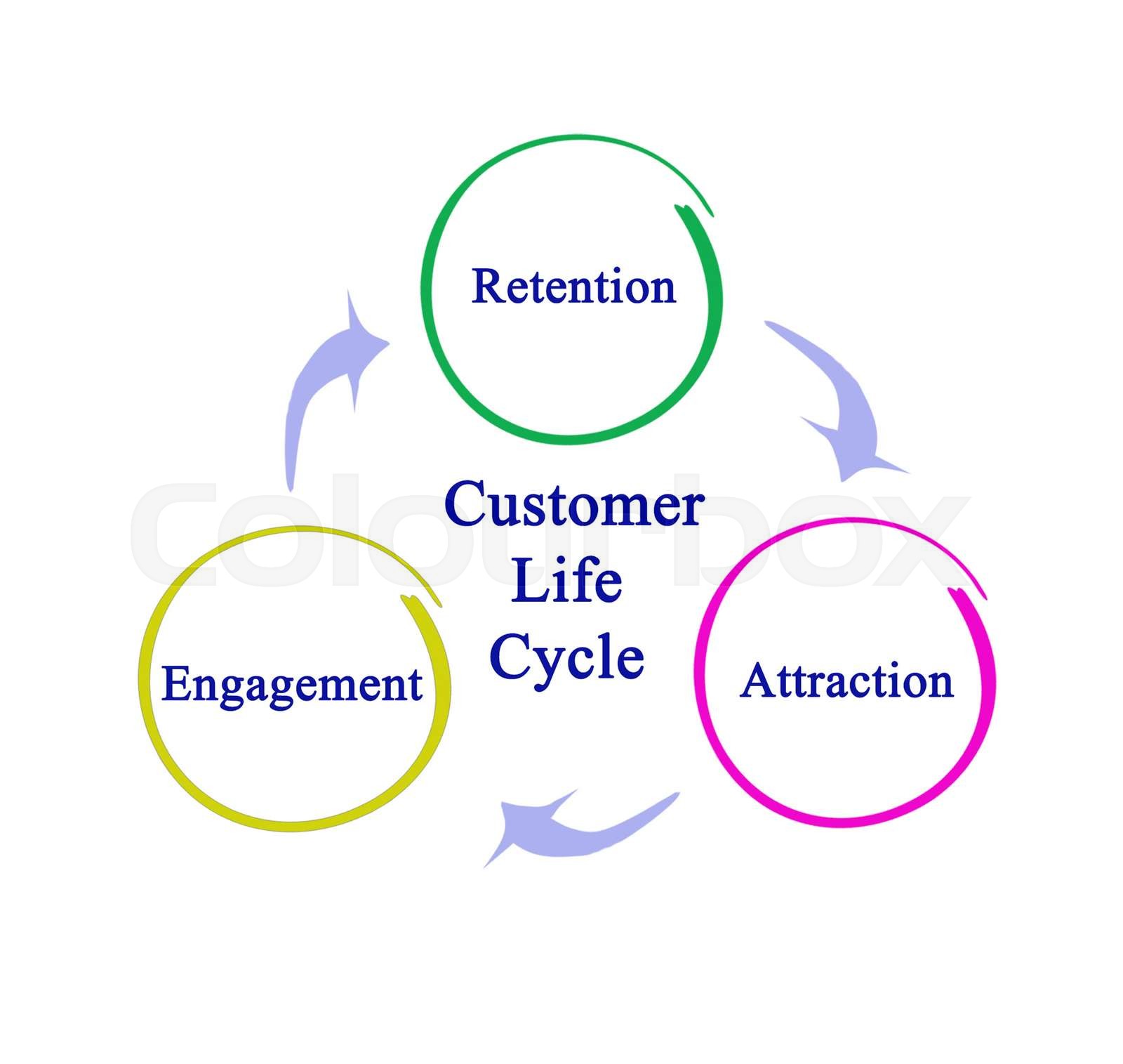 Diagram of Customer Life Cycle | Stock image | Colourbox