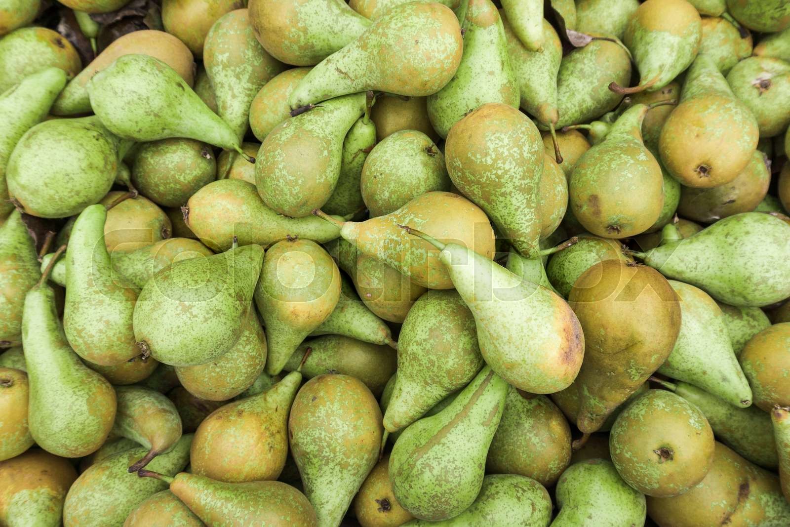 Green pears. Fresh pears | Stock image | Colourbox