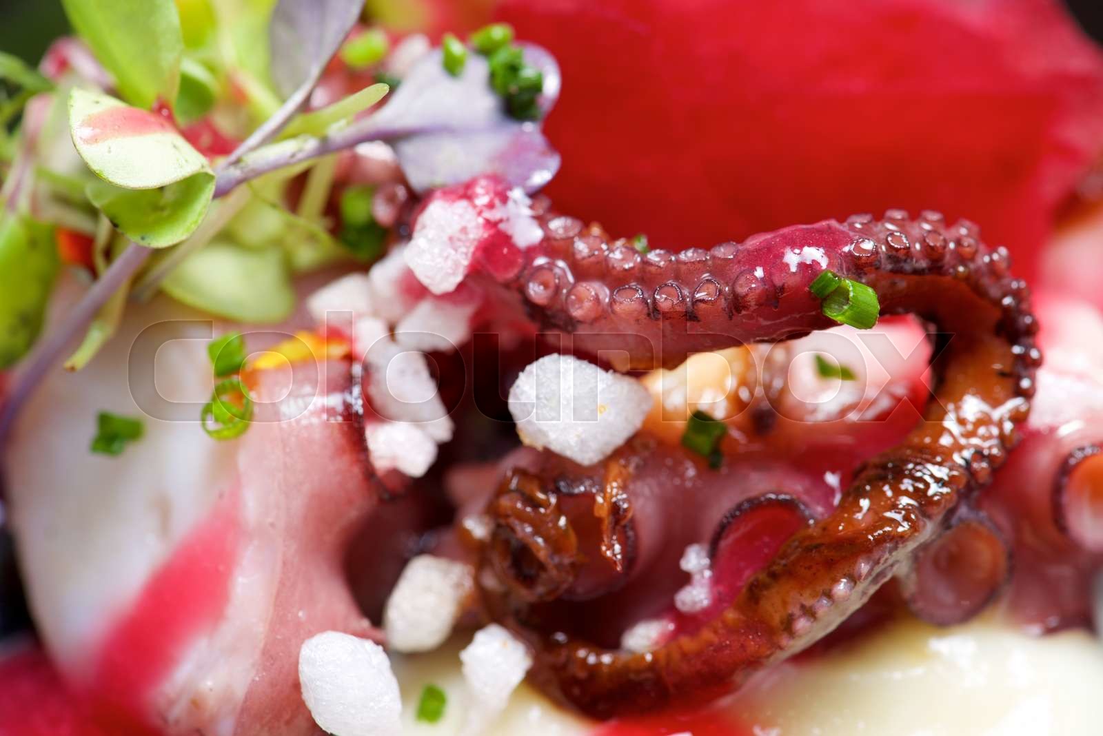 Octopus tapa | Stock image | Colourbox