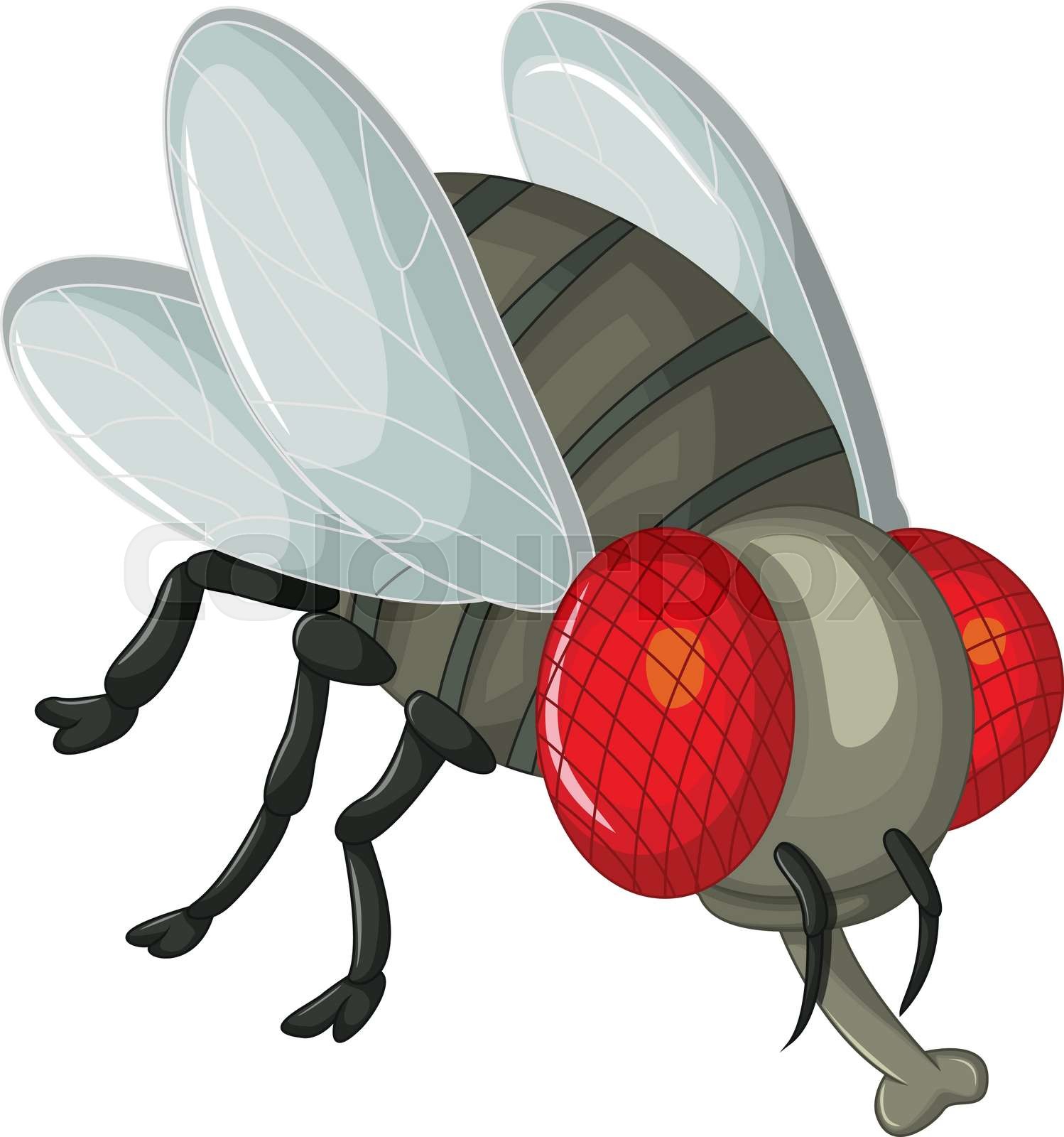 Cute little cartoon flies | Stock vector | Colourbox