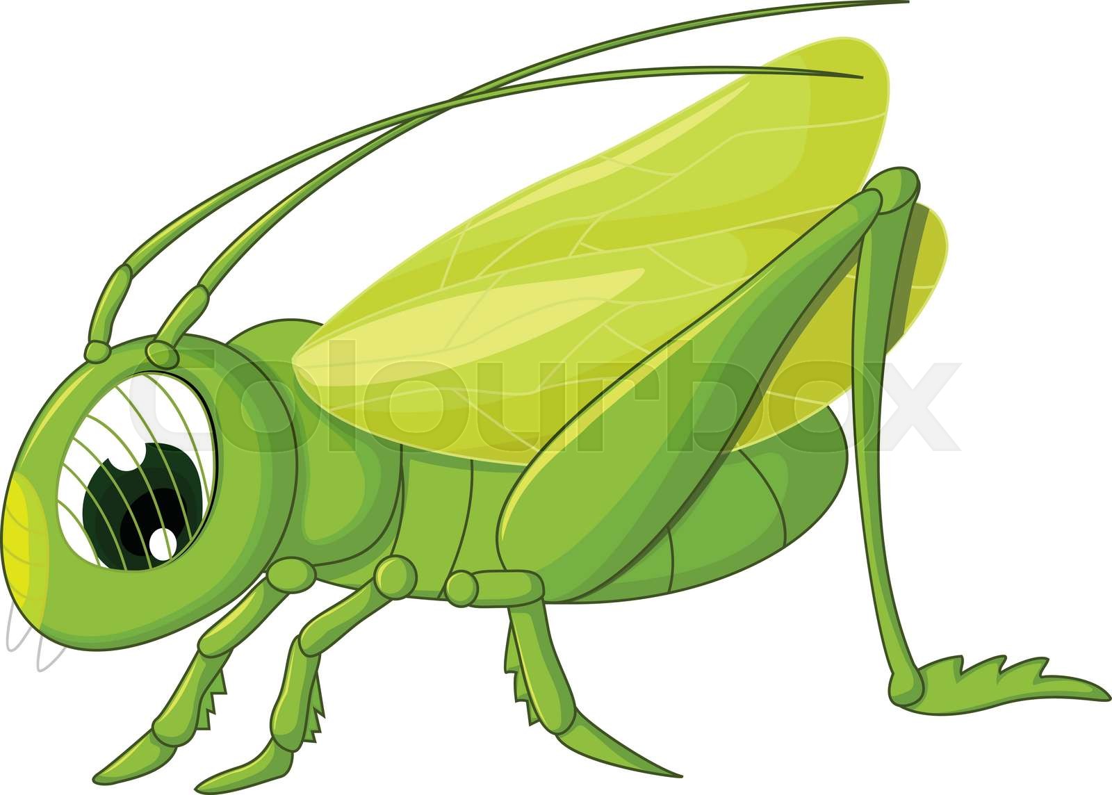 cute grasshopper cartoon | Stock vector | Colourbox