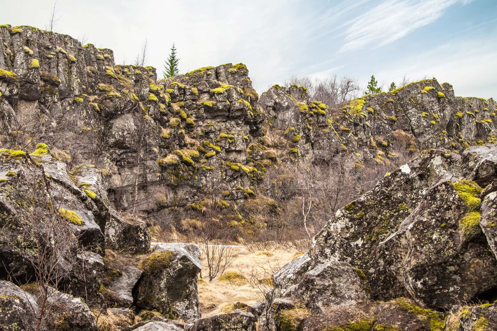 Canyon with moss covered cliffs | Stock image | Colourbox