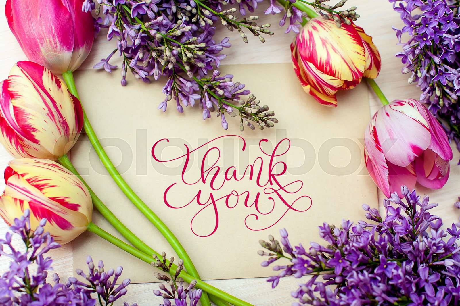Thank You Tulips