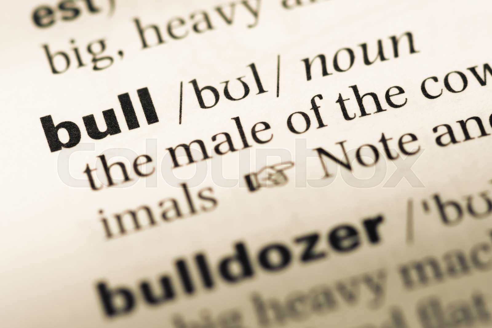 Close up of old English dictionary page with word bull. | Stock image ...