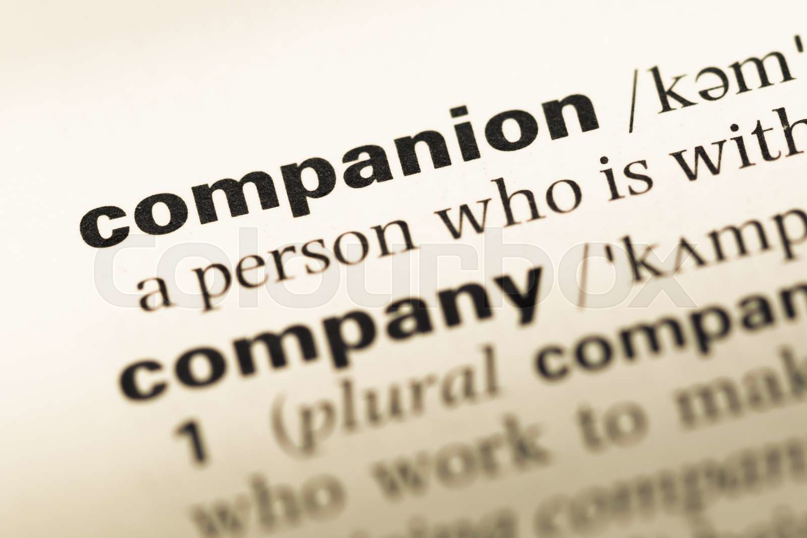 Close up of old English dictionary page with word companion. | Stock ...