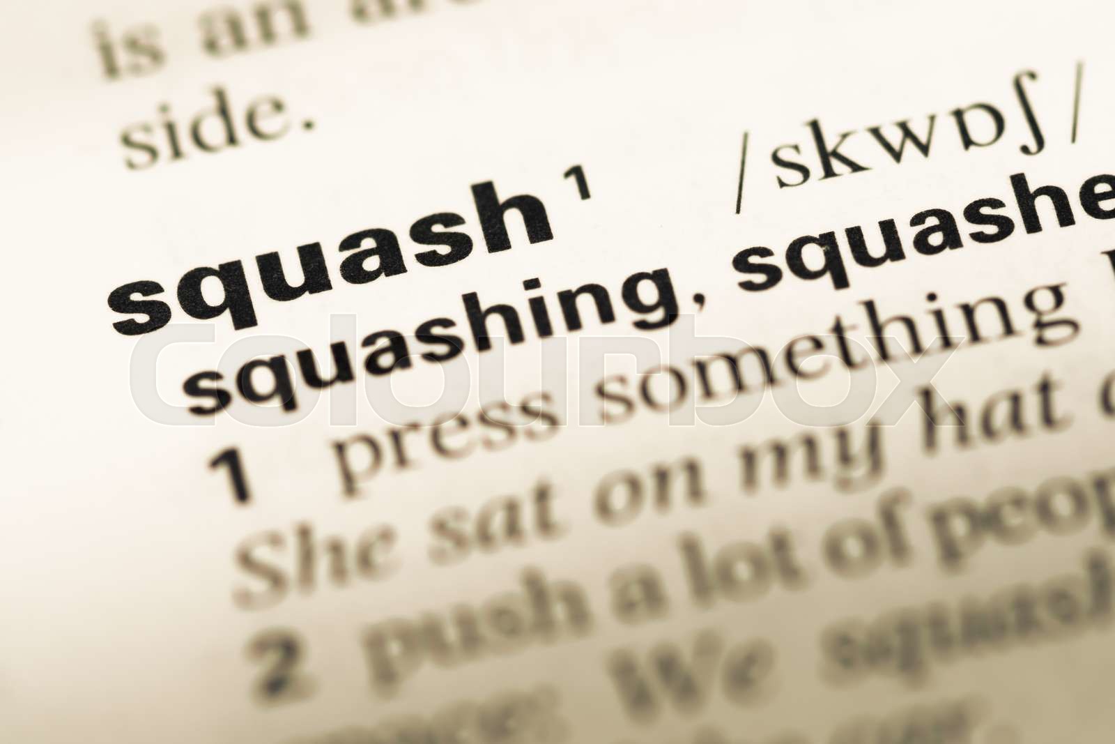 Close up of old English dictionary page with word squash. | Stock image ...