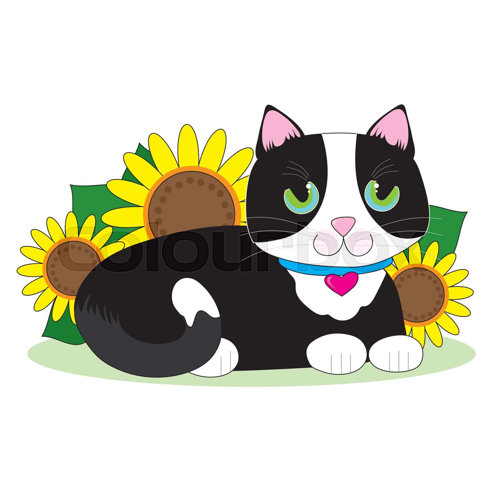 Tuxedo Cat | Stock vector | Colourbox