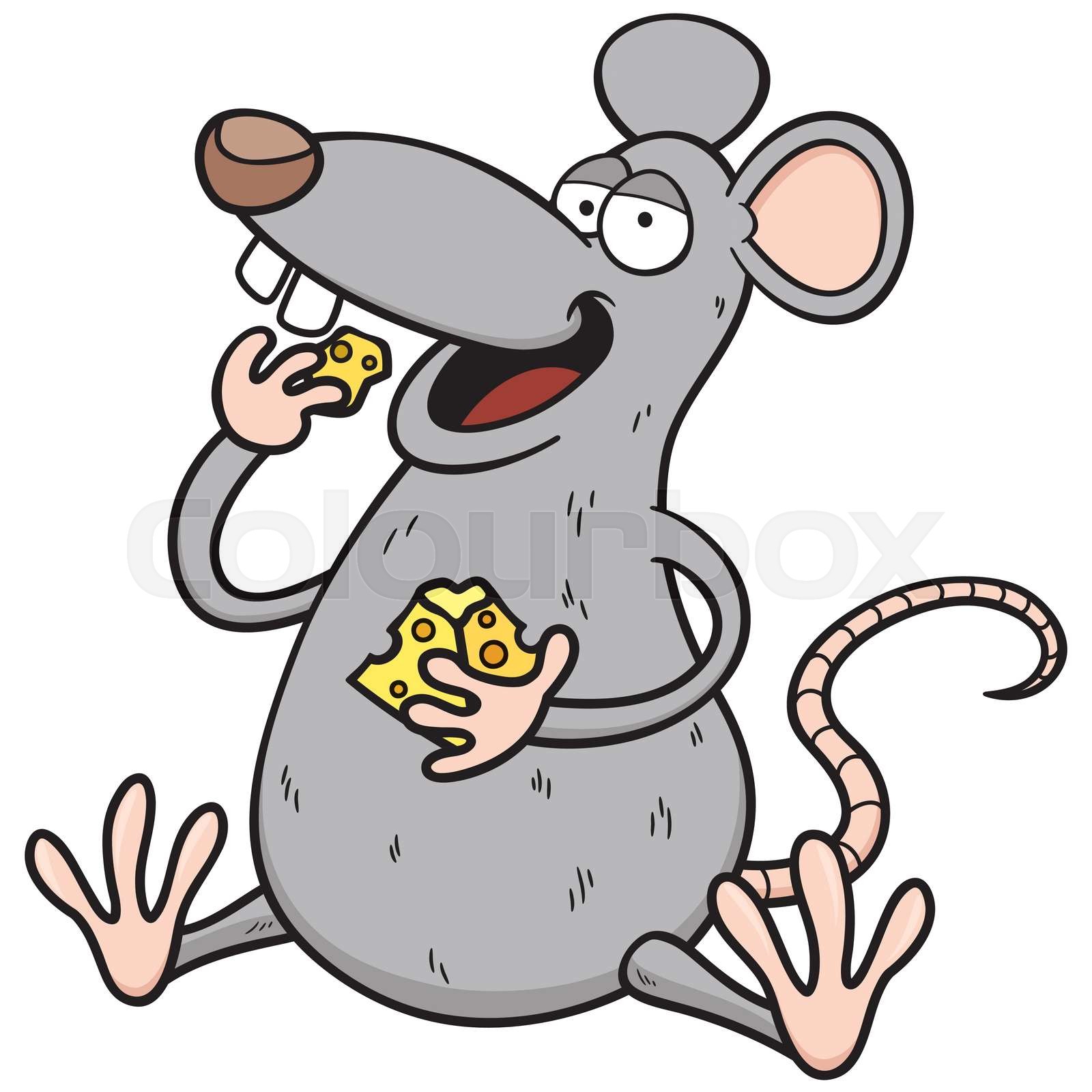 Rat | Stock vector | Colourbox