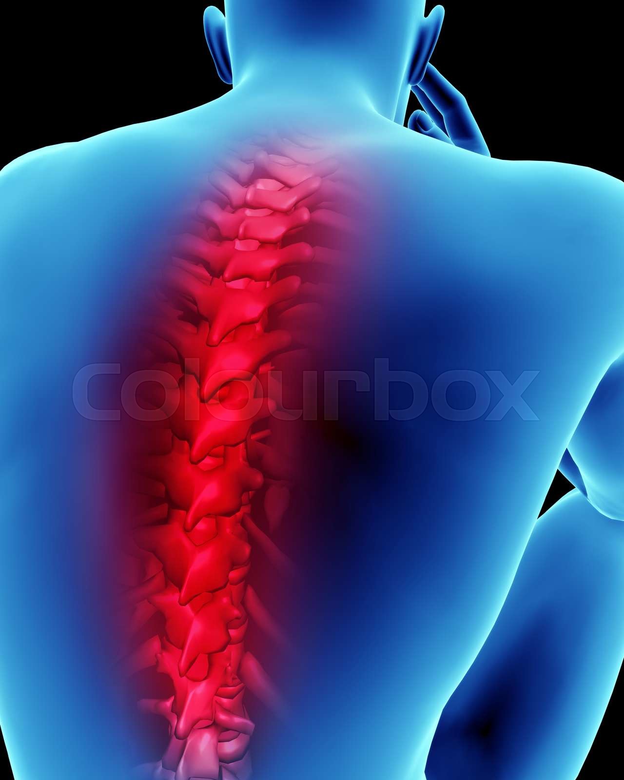 Human back pain spinal cord concept,Part of a medical series | Stock ...