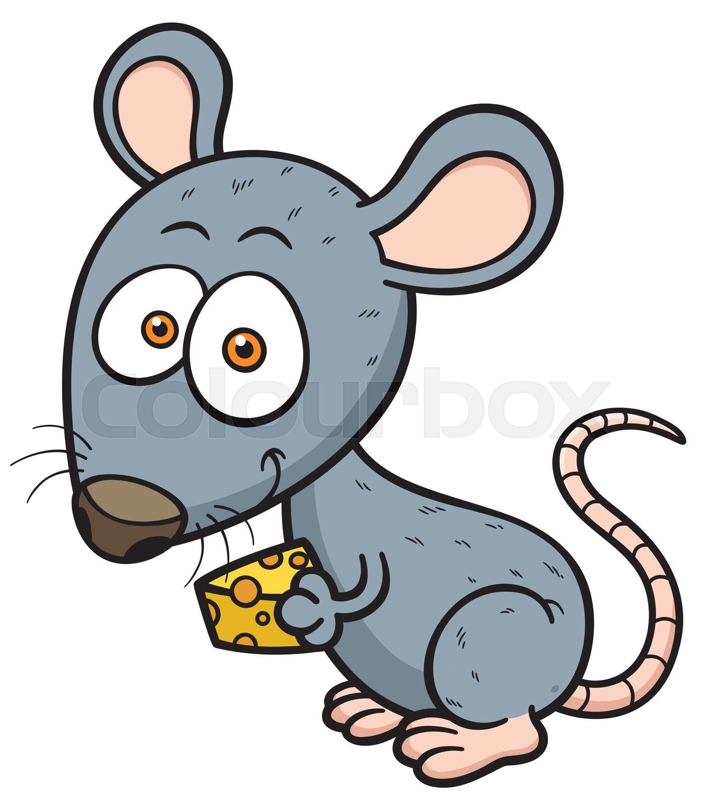 Rat | Stock vector | Colourbox