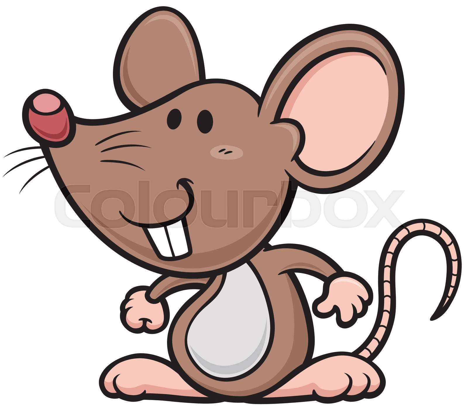 Rat | Stock vector | Colourbox
