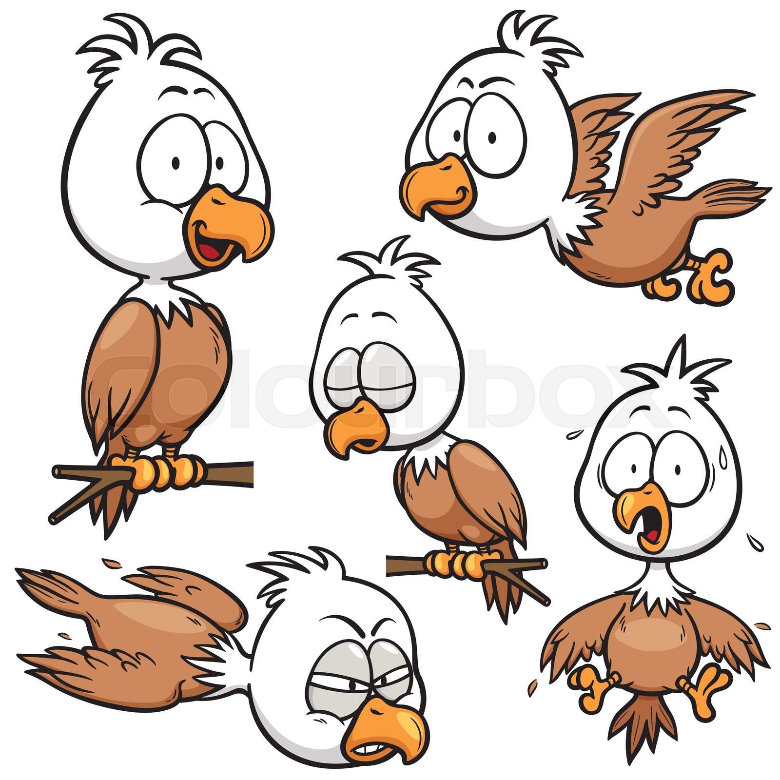 adler, cartoon, niedlich | Stock-Vektor | Colourbox