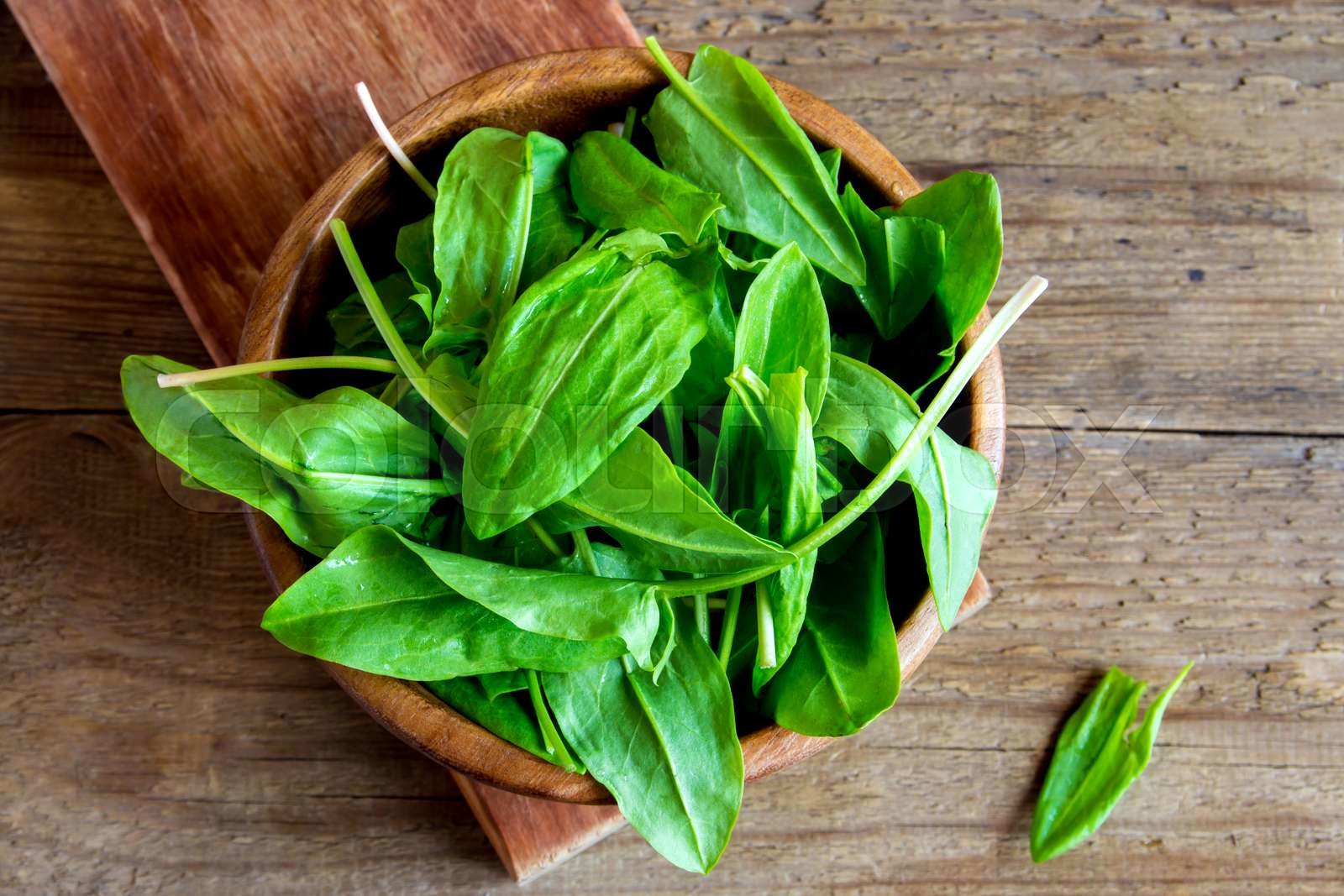 sorrel-leaves-stock-image-colourbox